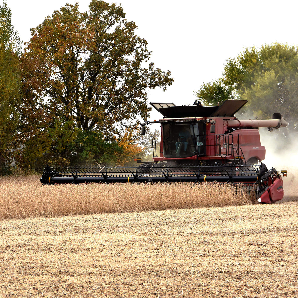 Case IH Header Parts Australia | Discount Combine Parts